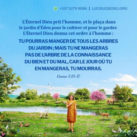 L'Évangile de Dieu | L'Évangile du Royaume